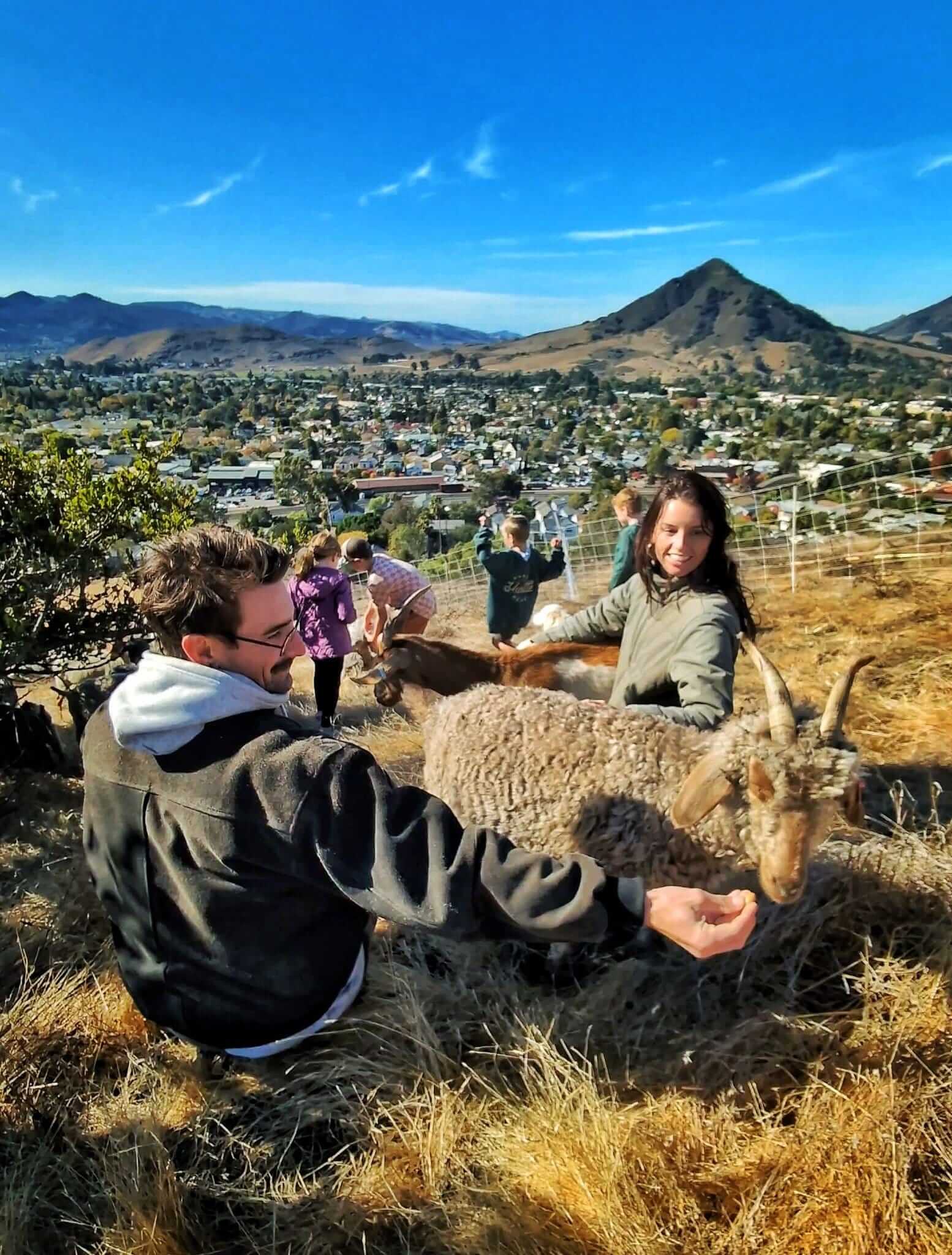 Terrace Hill: Your Next Quick Escape in San Luis Obispo - EnjoySLO